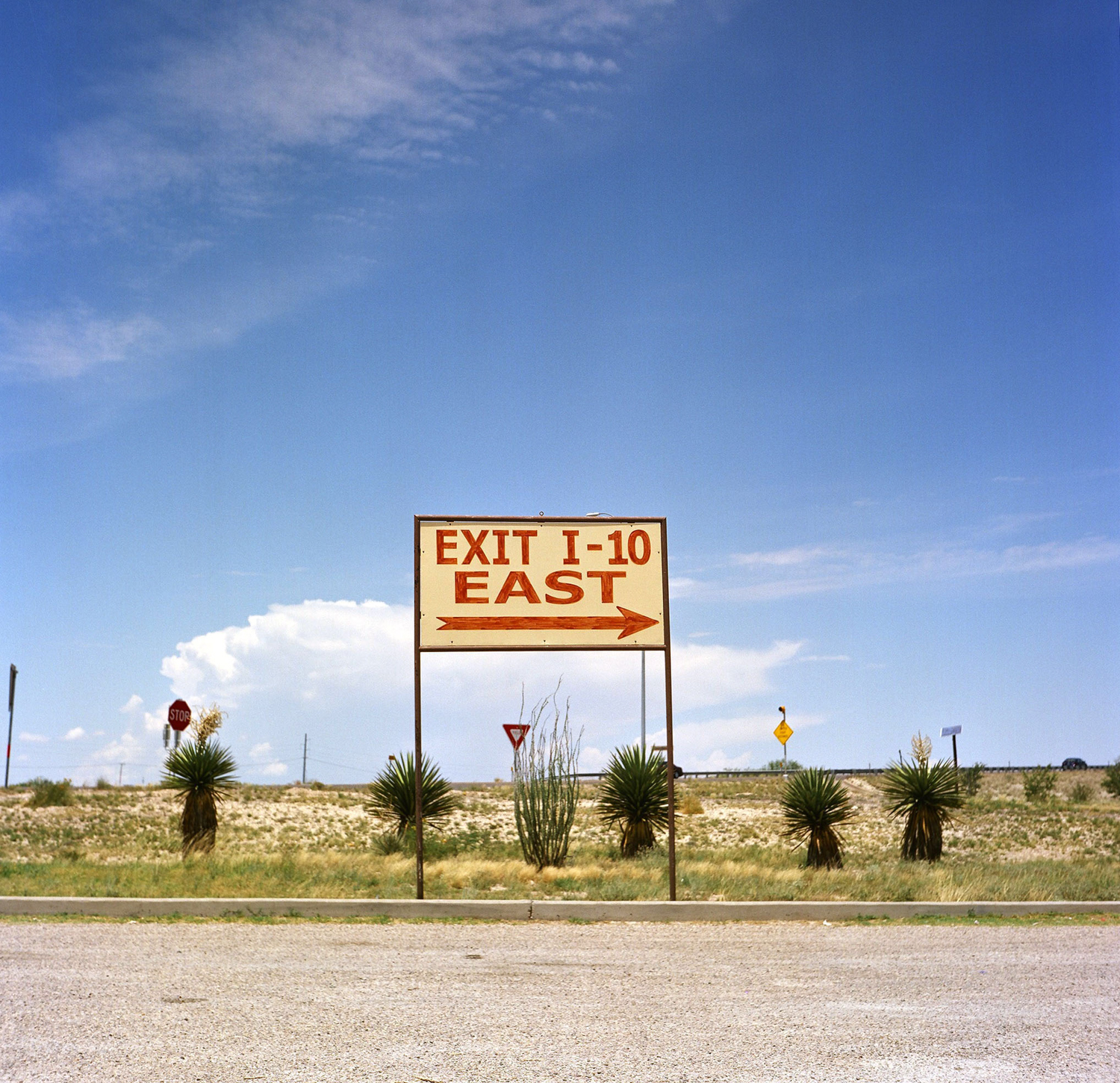 LAUREN ROCHE — TOUR GUIDE